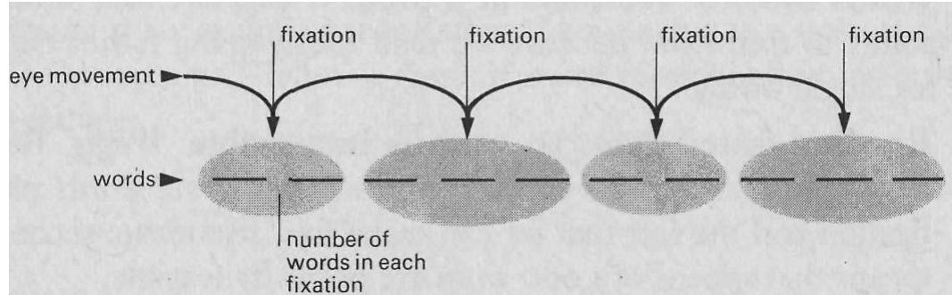 Ii diagram showing eye movements of a better and more