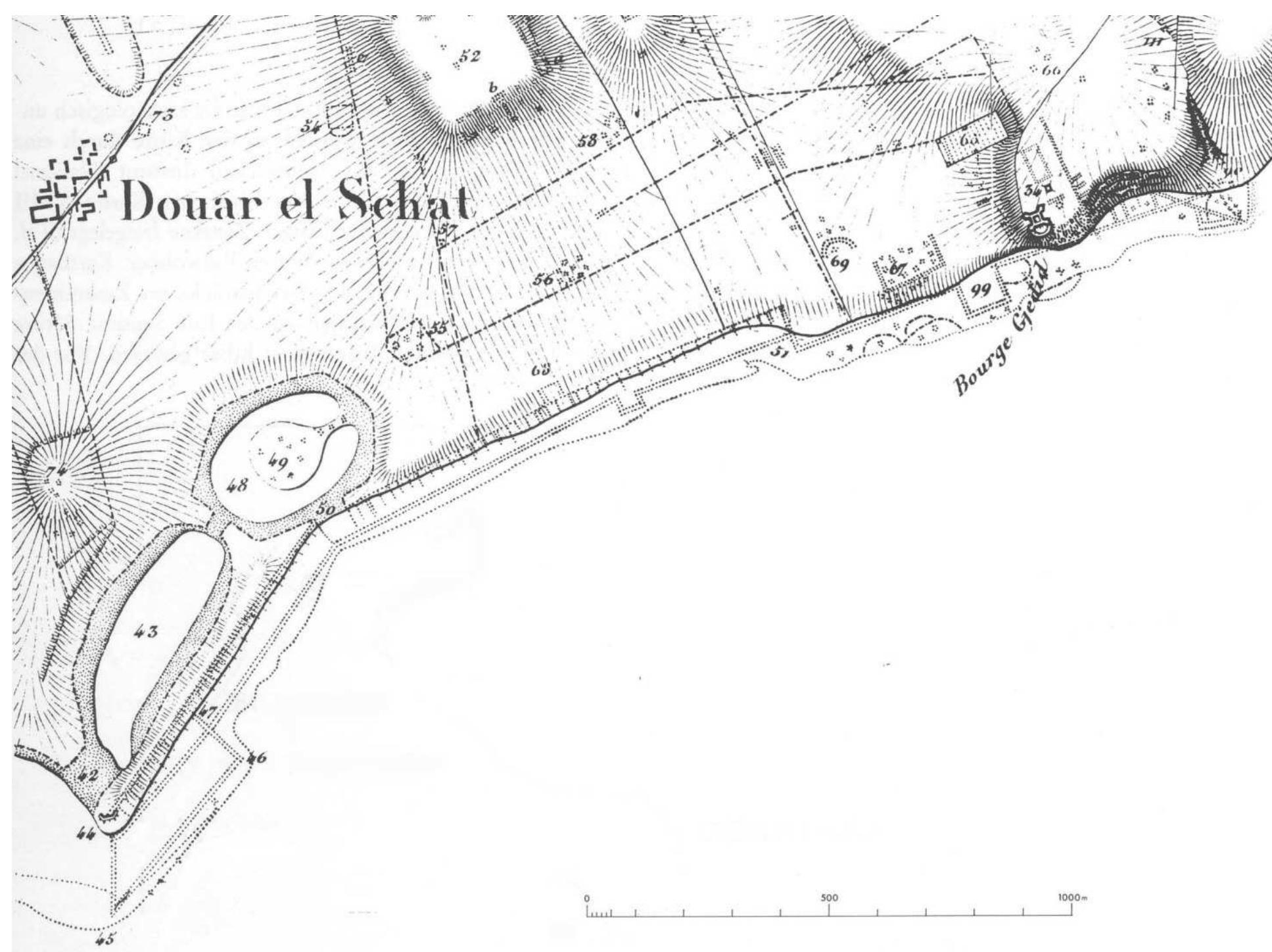 detail from falbe’s map of carthage of 1833 showing