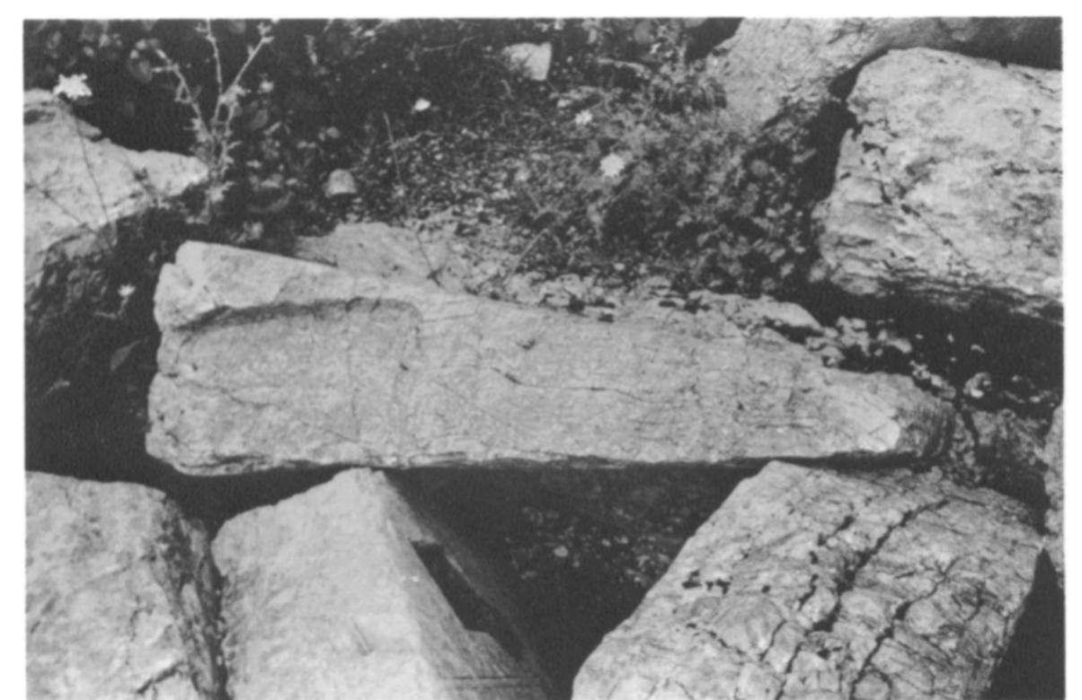 C. temple of apollo, bassai: trapezoidal backer block to