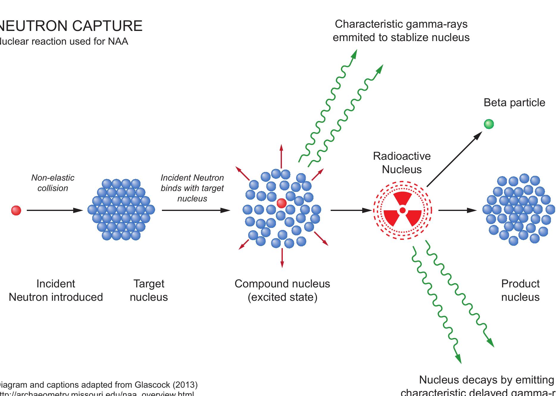 Diagram of the neutron capture process used in the nuclear