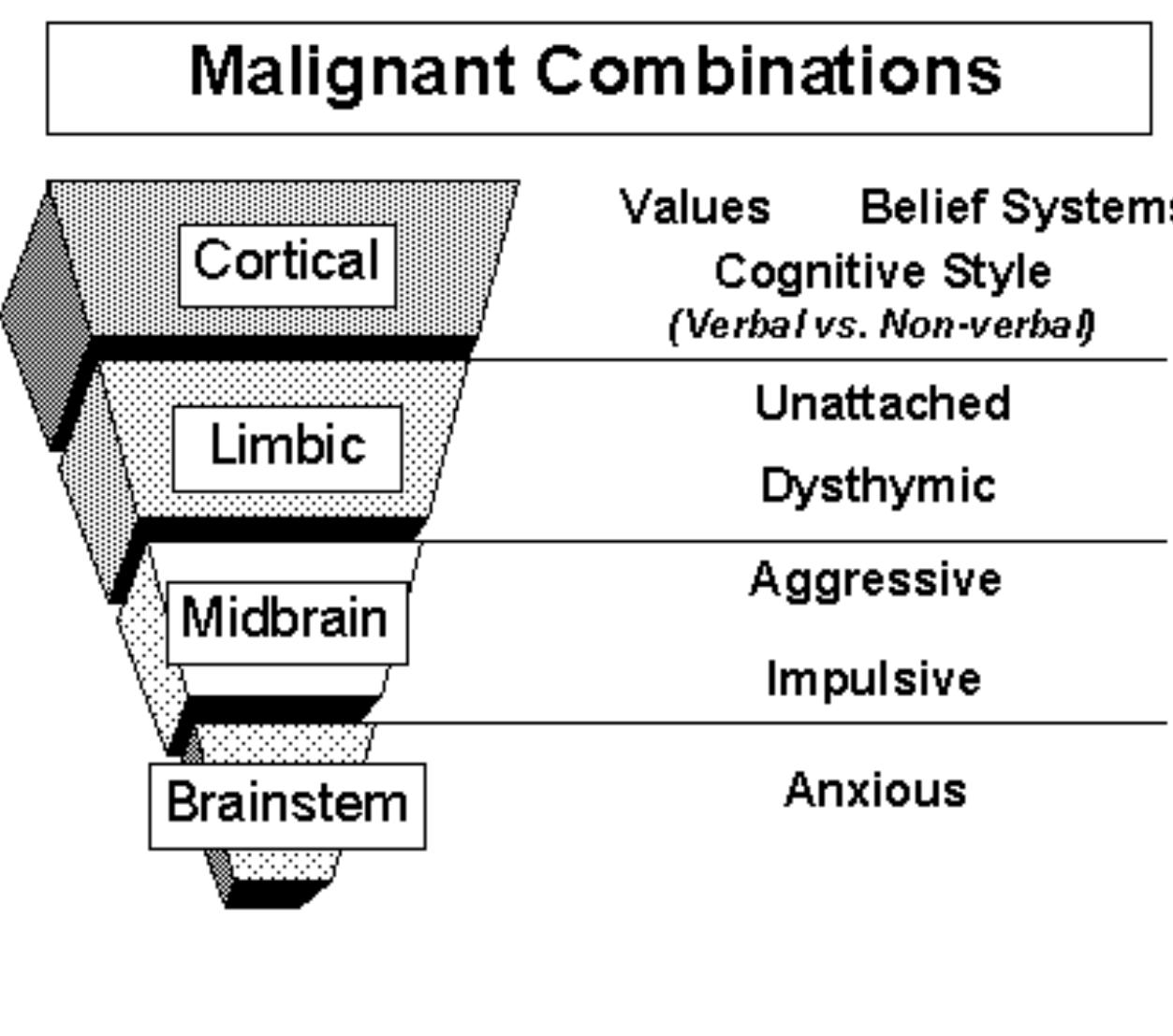 Malignant combination of experience: neurodevelopmental