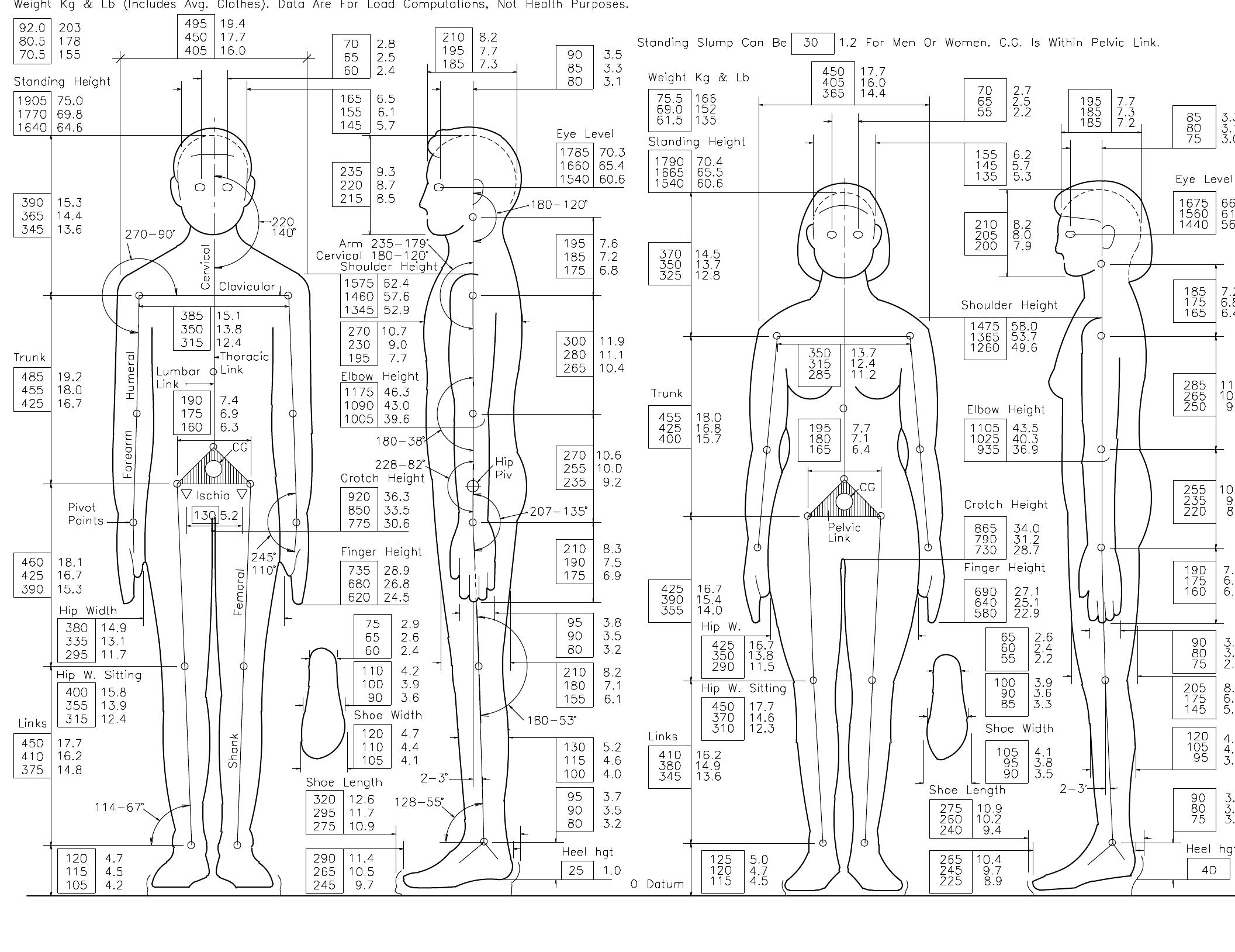 Figure 1 - Anthropometry by Architectural Graphic Standards