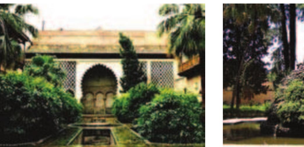 Figure 104 - GADThe fortune of Garden Art Design Avant