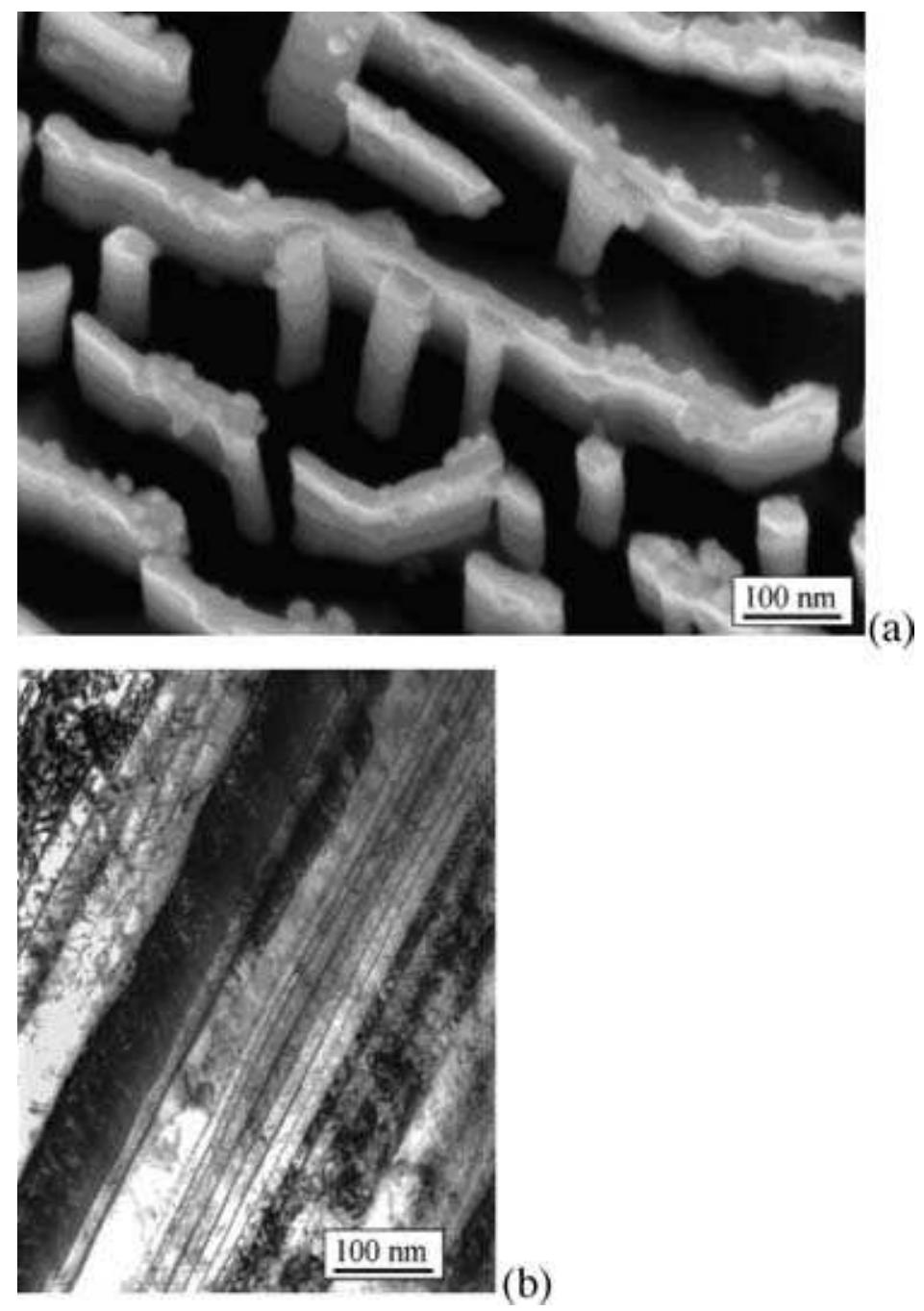 0.8% c steel, evolution of the microstructure with cold