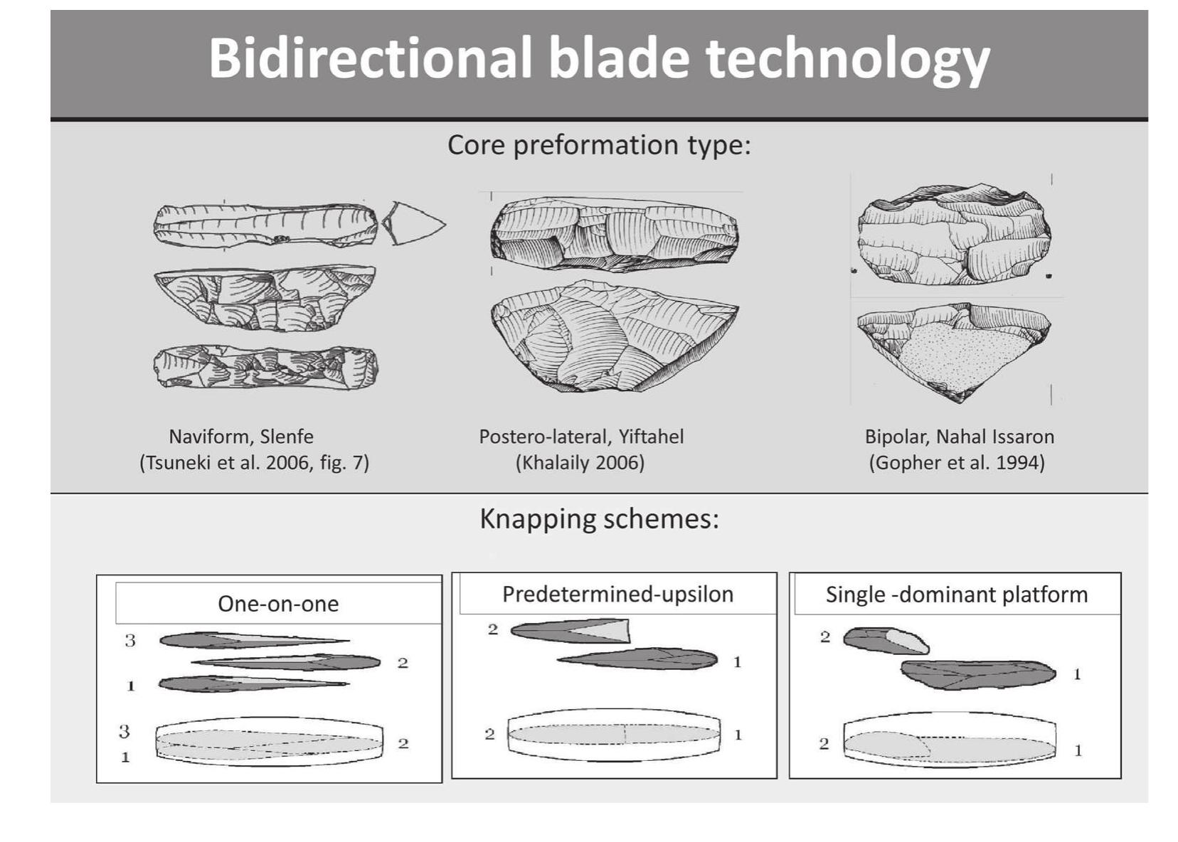Suggested terminology for ppnb bidirectional blade
