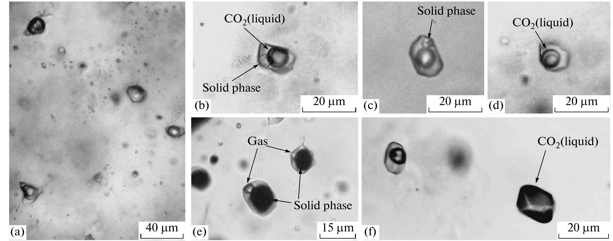 Types of fluid inclusions in quartz from quartz—wolframite