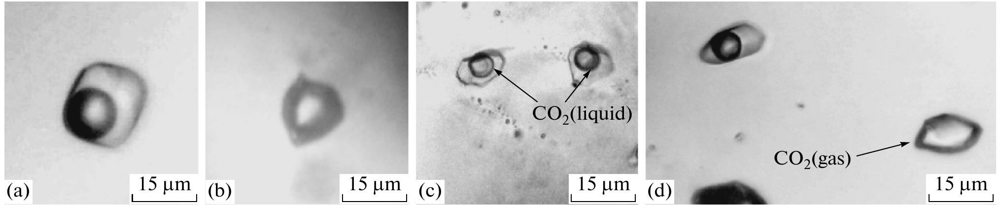 Types of fluid inclusions in quartz from quartz—wolframite
