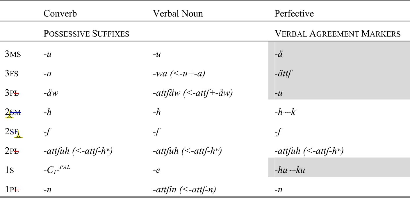 Comparison of subject agreement markers