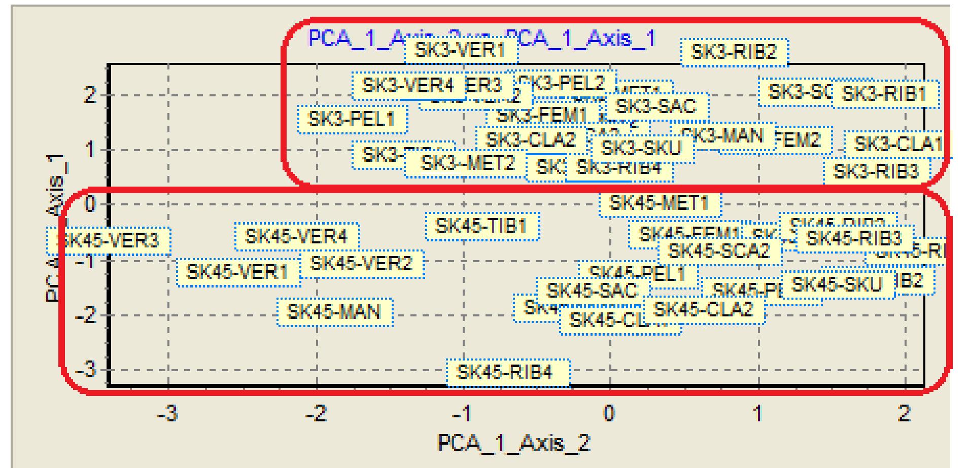 Principal component analysis of two skeletons from the