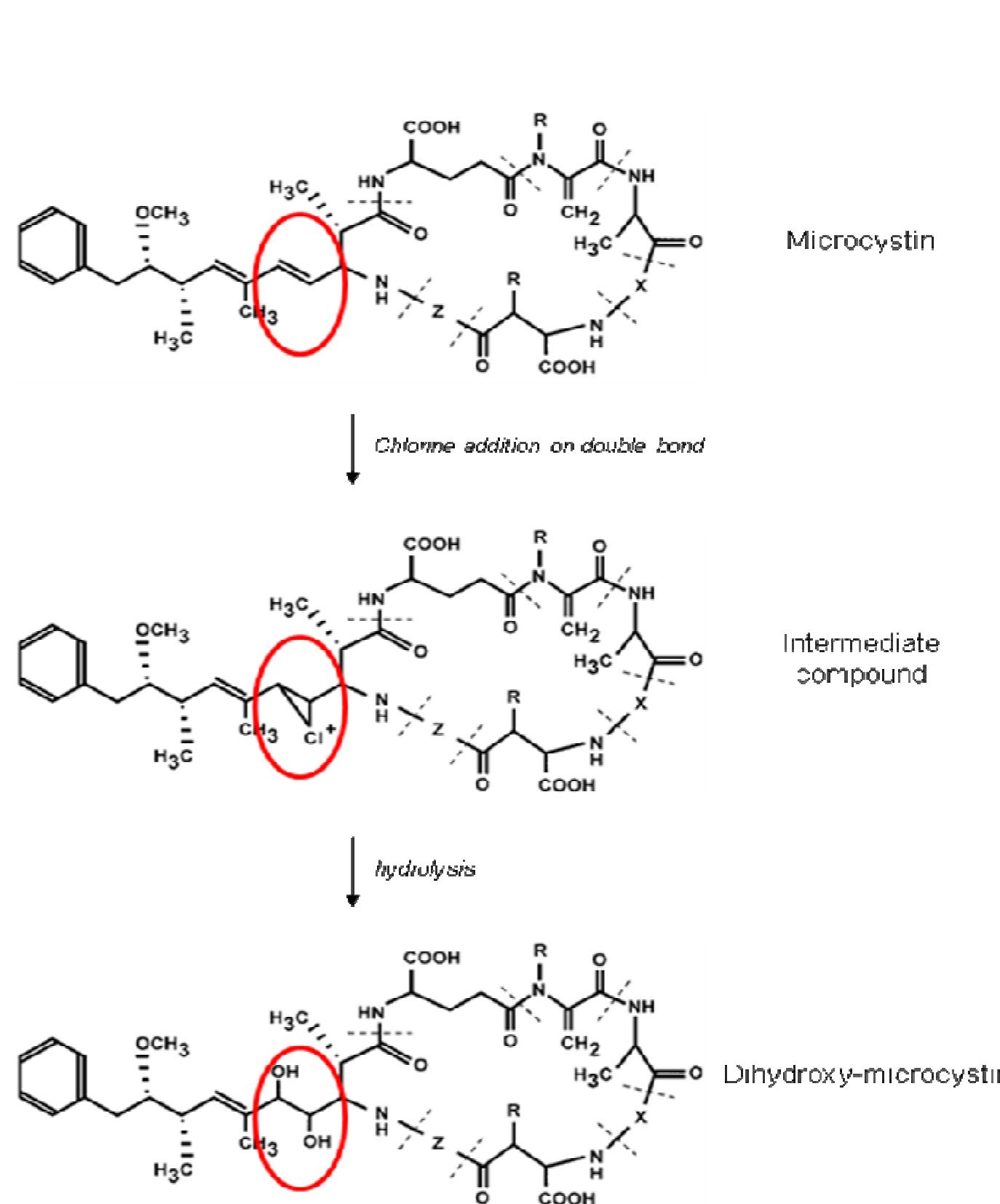Figure 1 - from Breakpoint chlorination full paper published