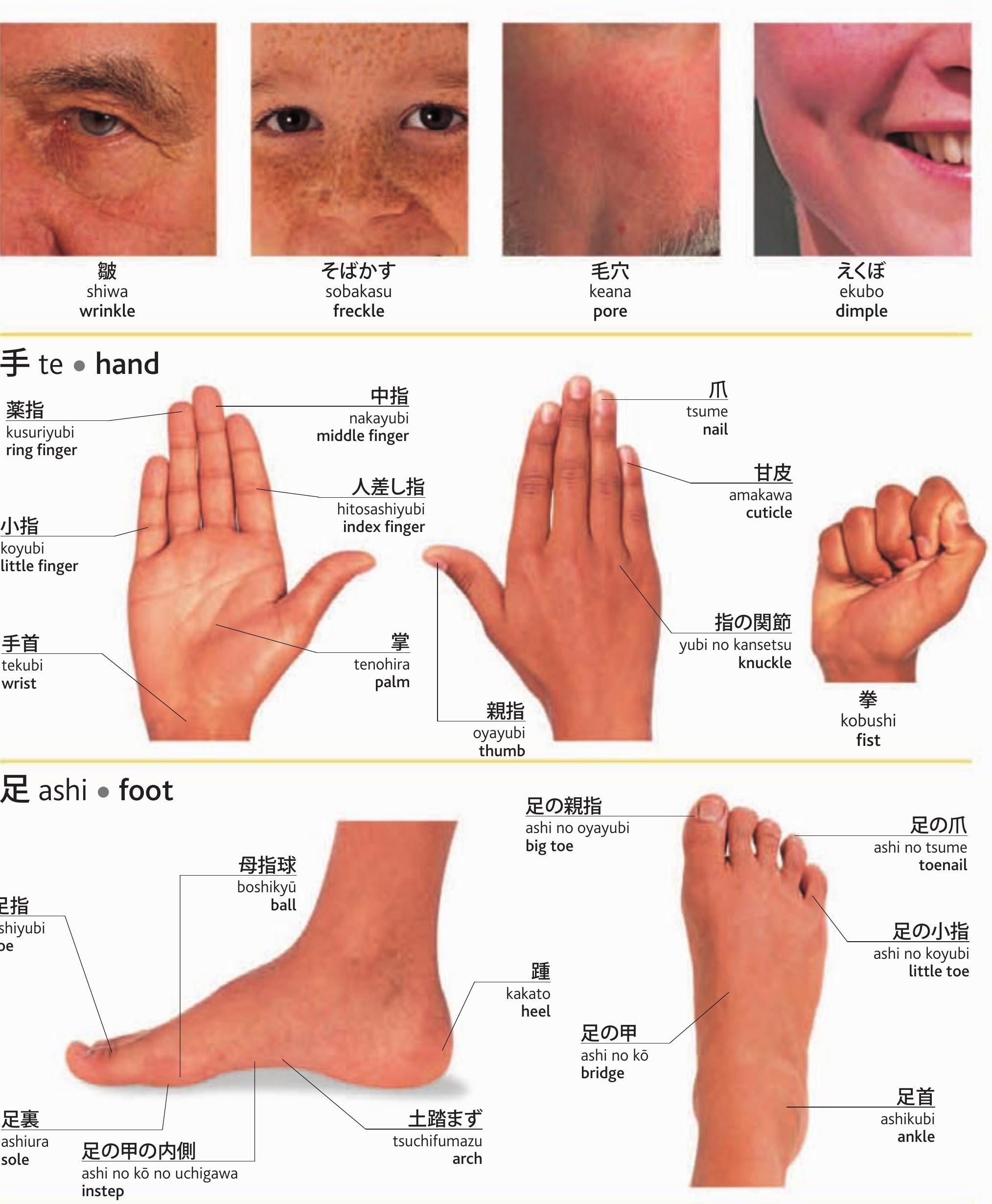 (PDF) Japanese English Bilingual Visual Dictionary