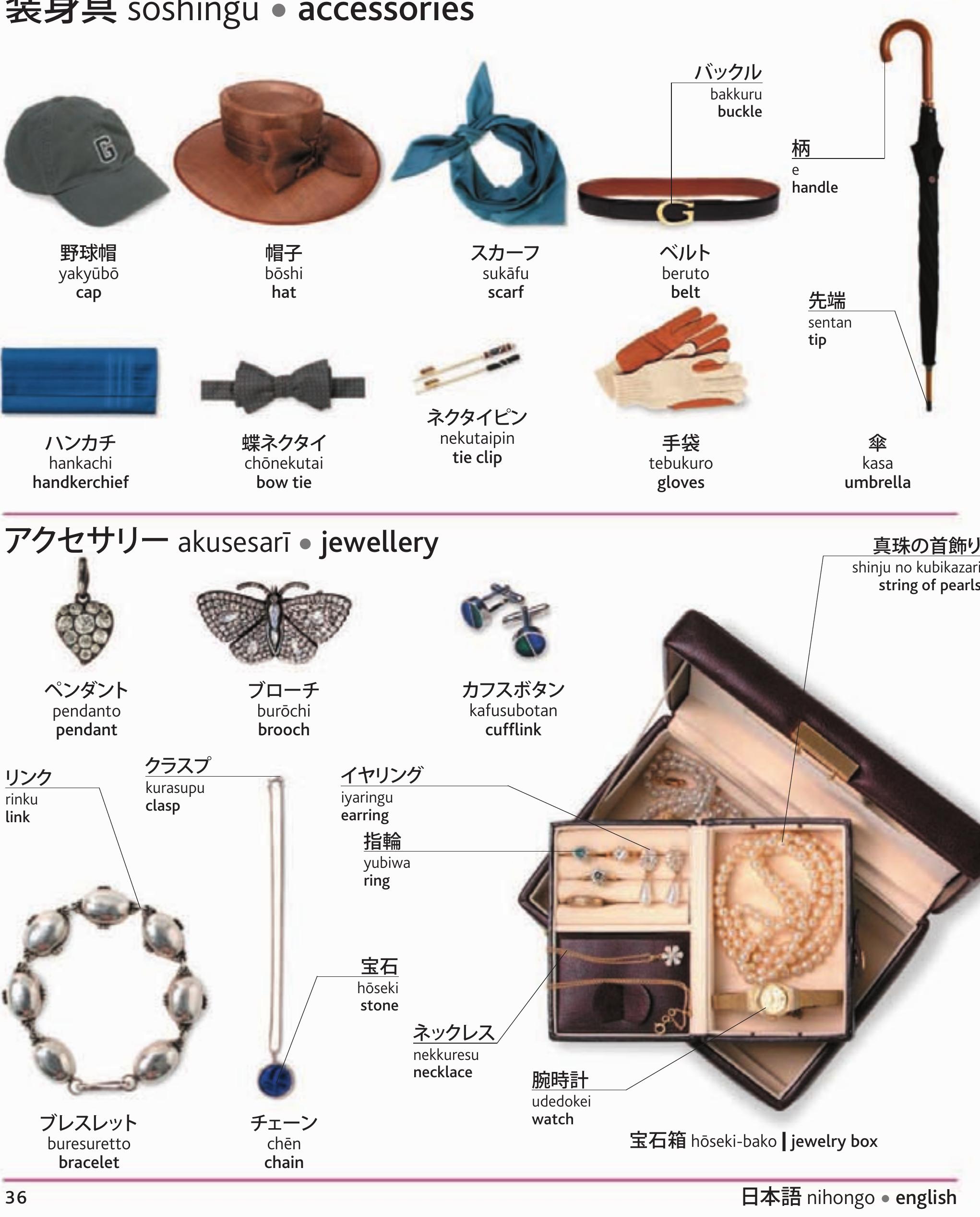 Figure 29 - Japanese English Bilingual Visual Dictionary