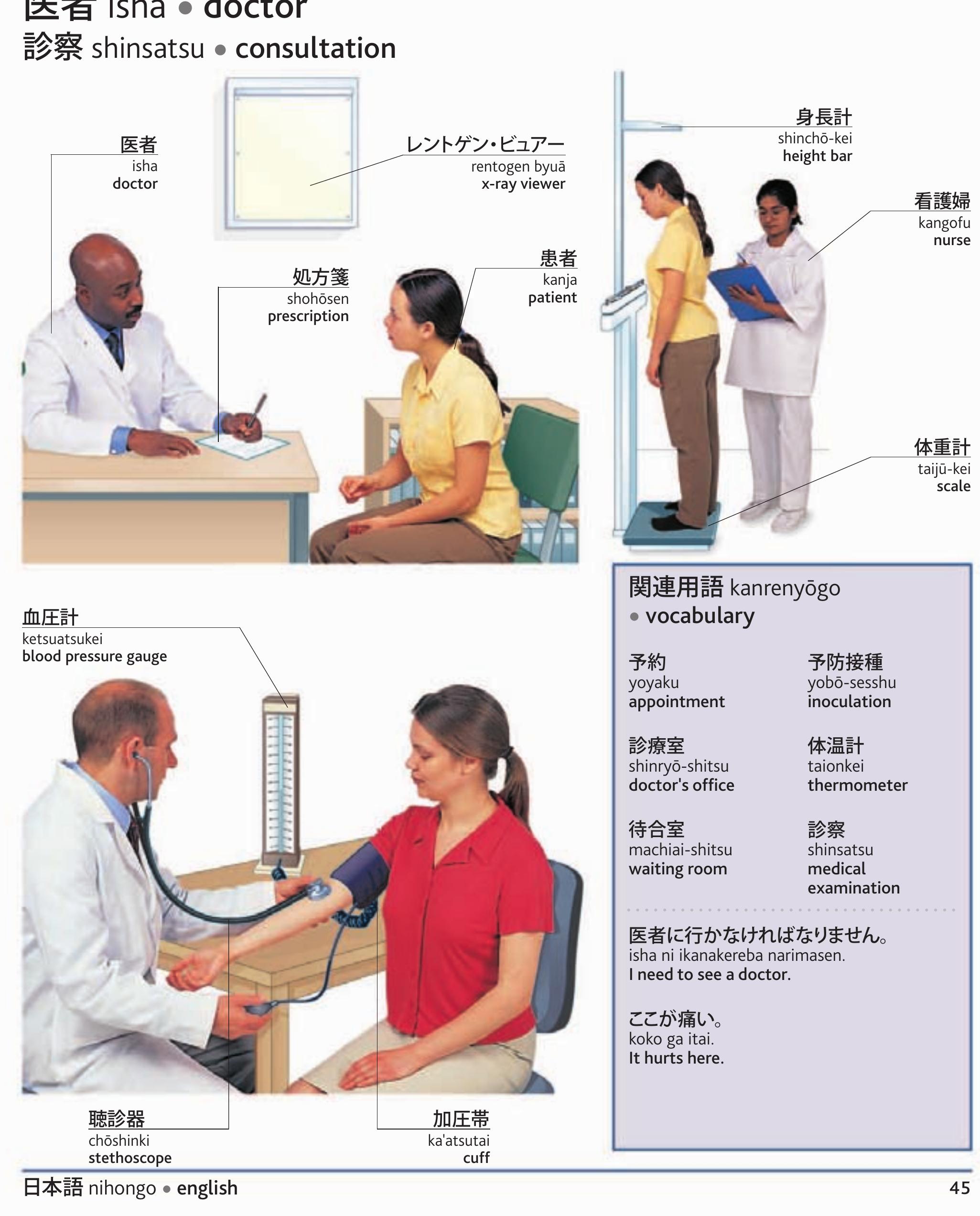 (PDF) Japanese English Bilingual Visual Dictionary