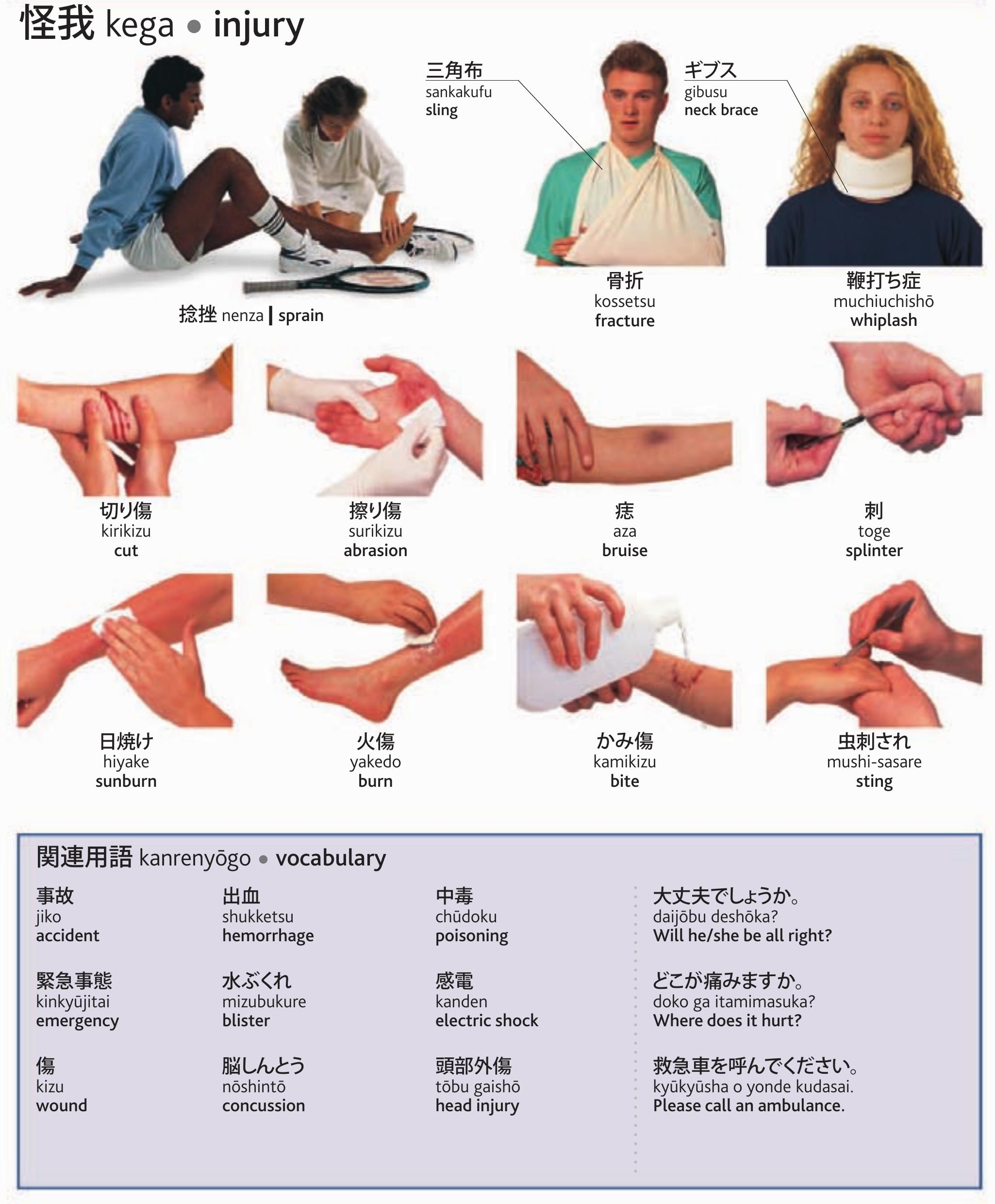 Figure 37 - Japanese English Bilingual Visual Dictionary