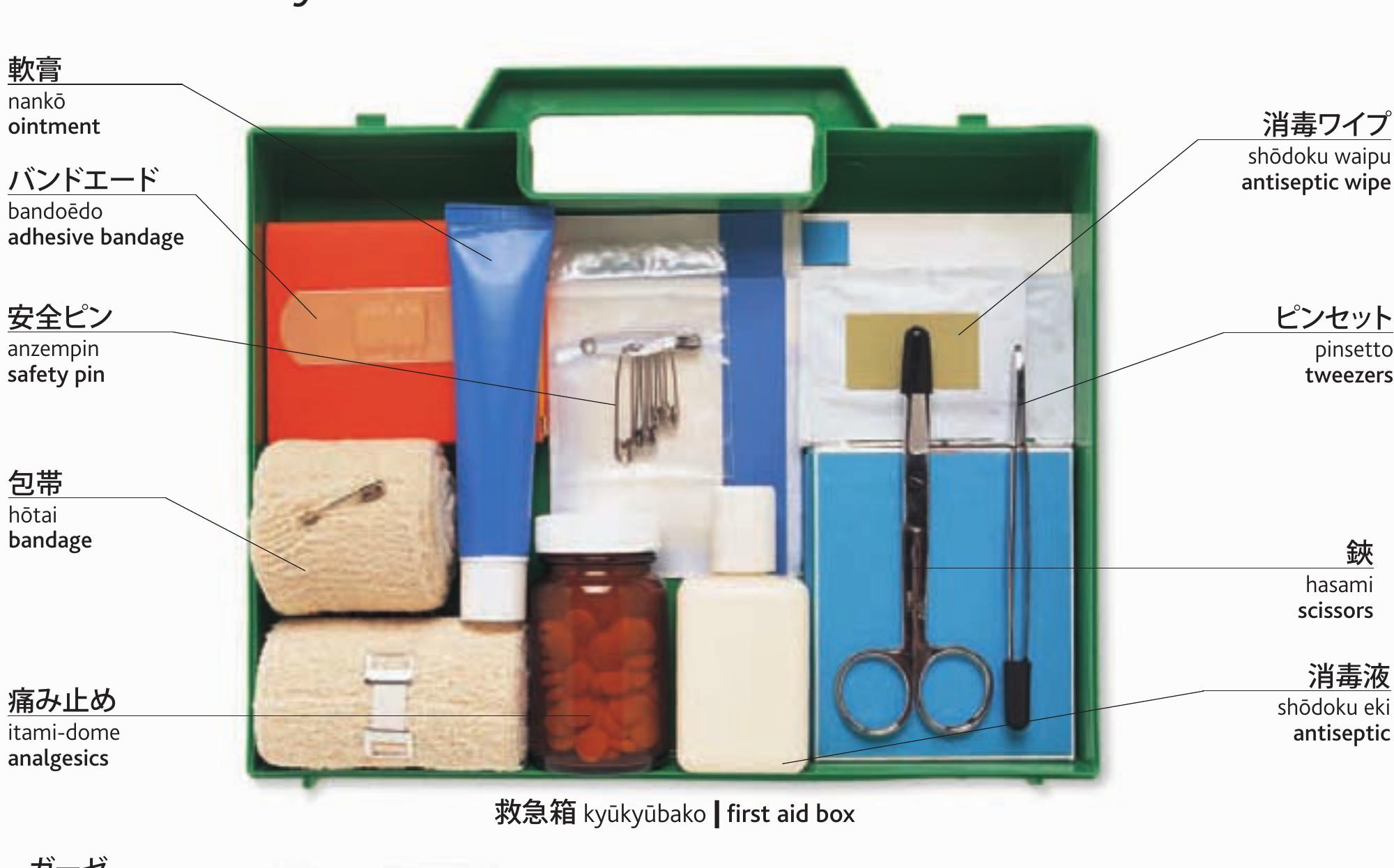 Figure 38 - Japanese English Bilingual Visual Dictionary