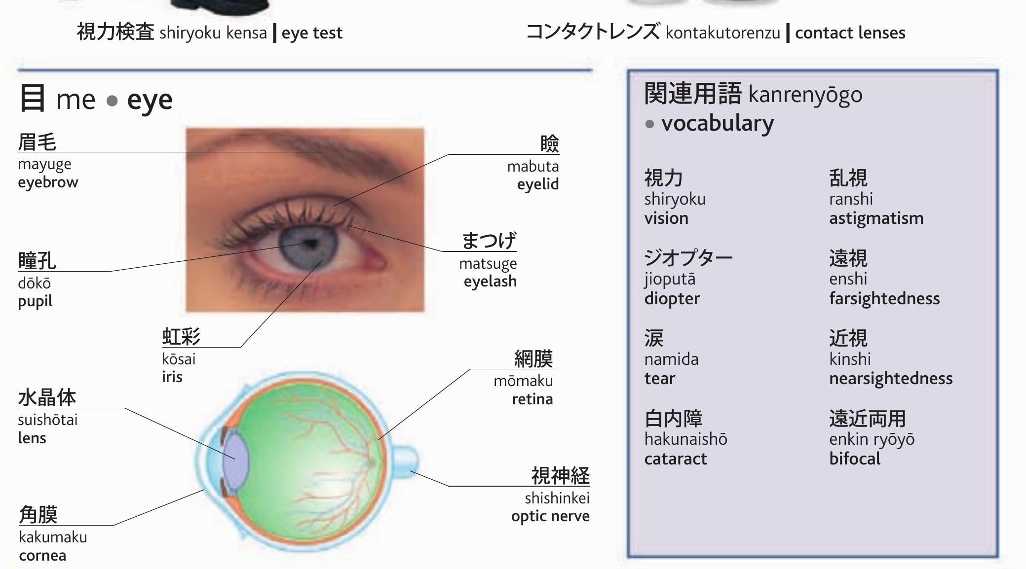 (PDF) Japanese English Bilingual Visual Dictionary