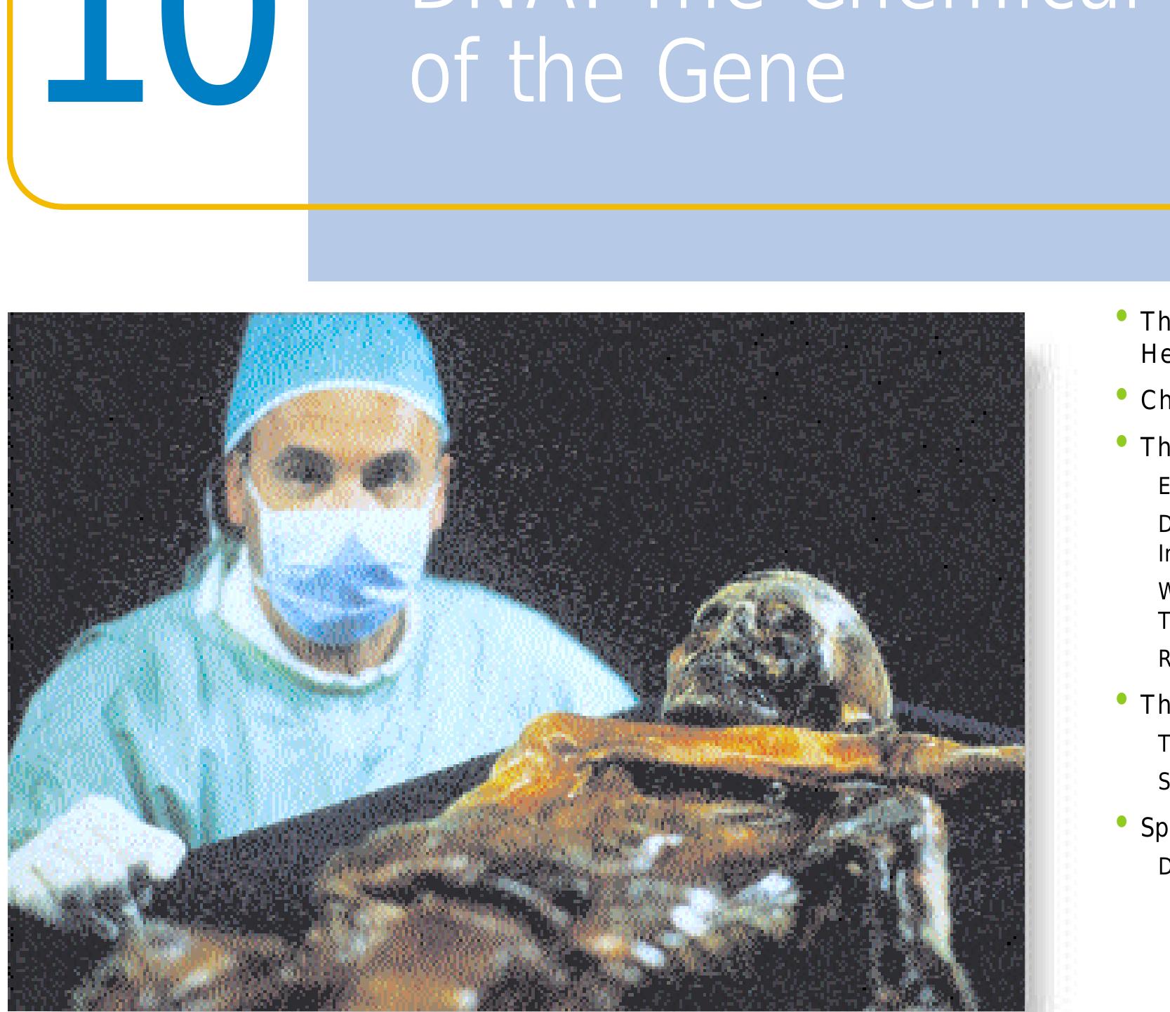 Ice man is a 5300-year-old frozen corpse found in the alps.