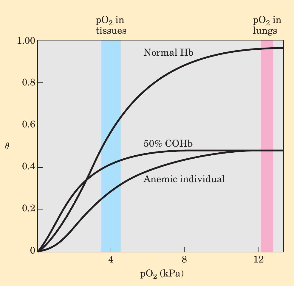 Several oxygen-binding curves: for normal hemoglobin,