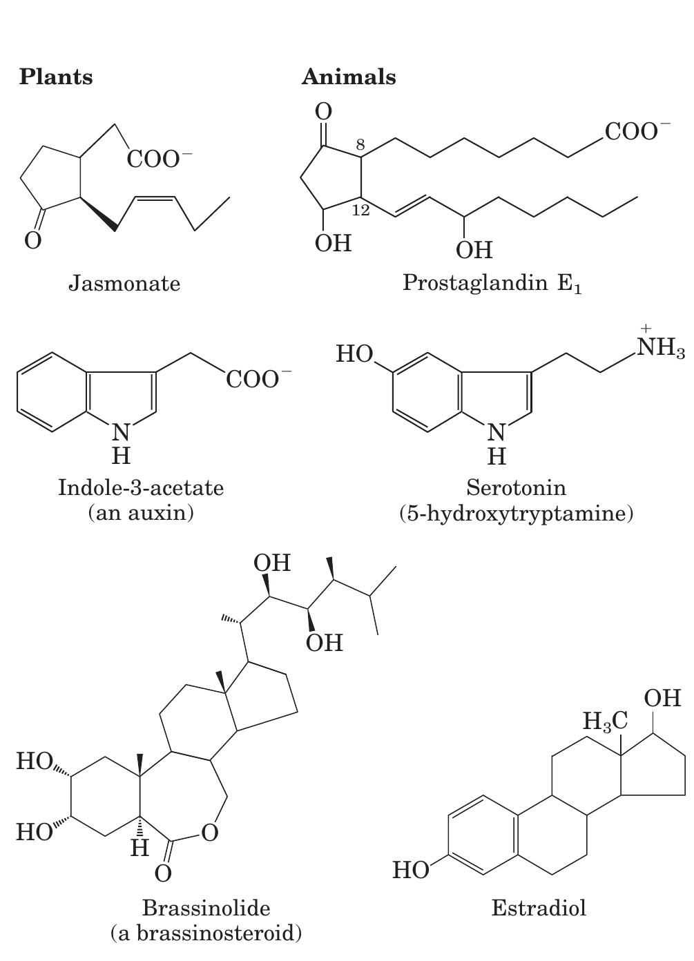 -28 structural similarities between plant and animal sig-