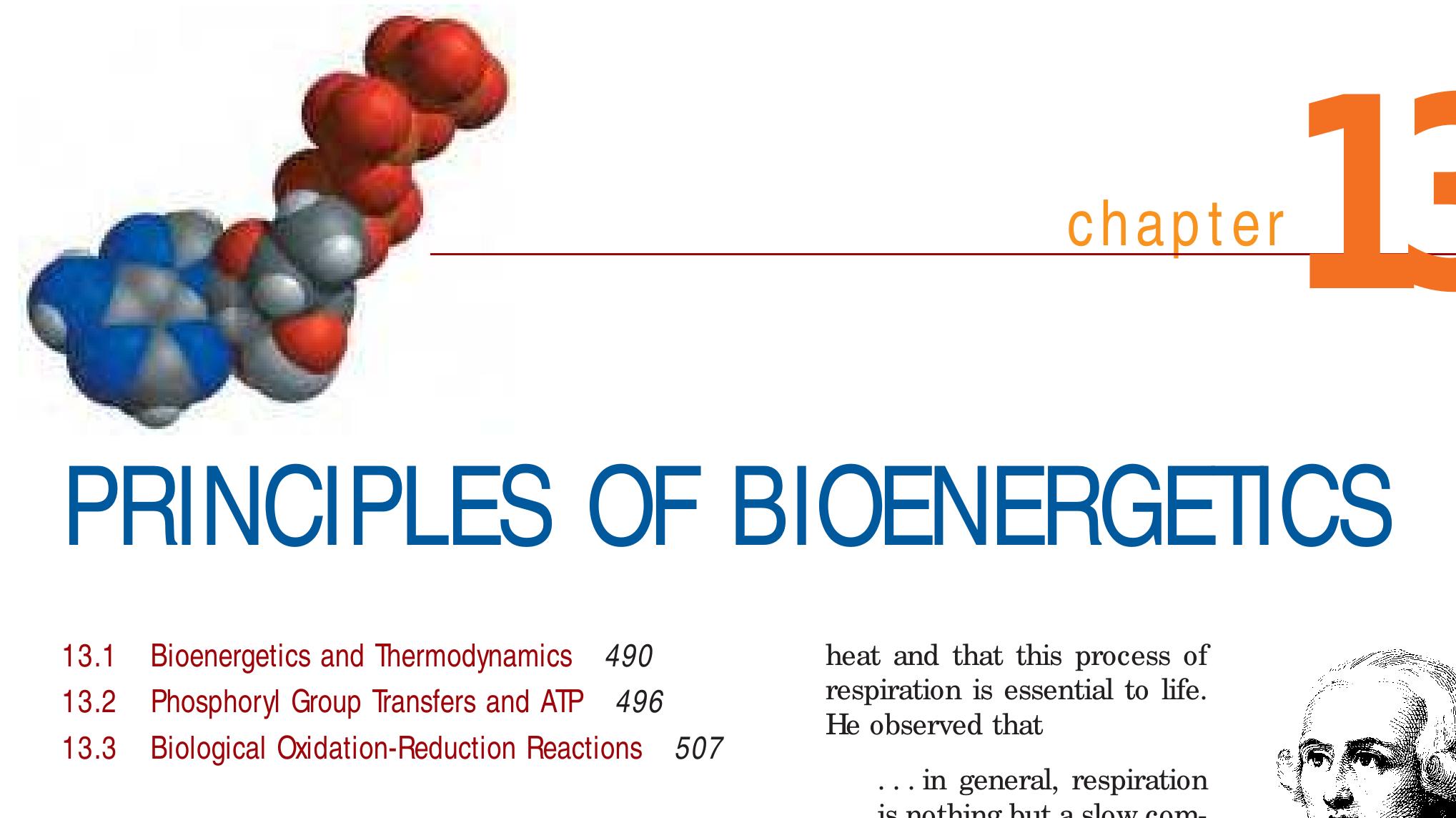 (PDF) PRINCIPLES OF BIOENERGETICS