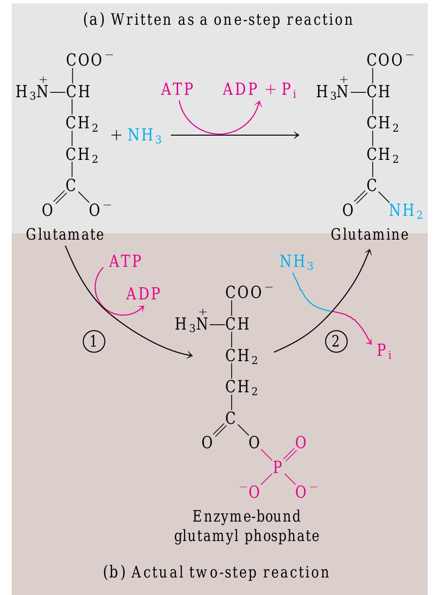 (PDF) PRINCIPLES OF BIOENERGETICS