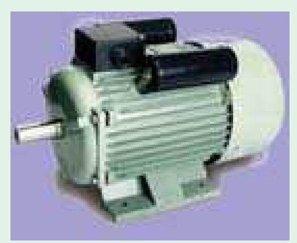 Plitphase motor. switch mechanism lisconnects start winding