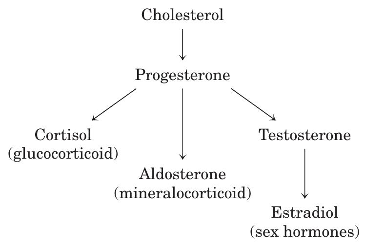 They travel to their target cells through the blood- stream,