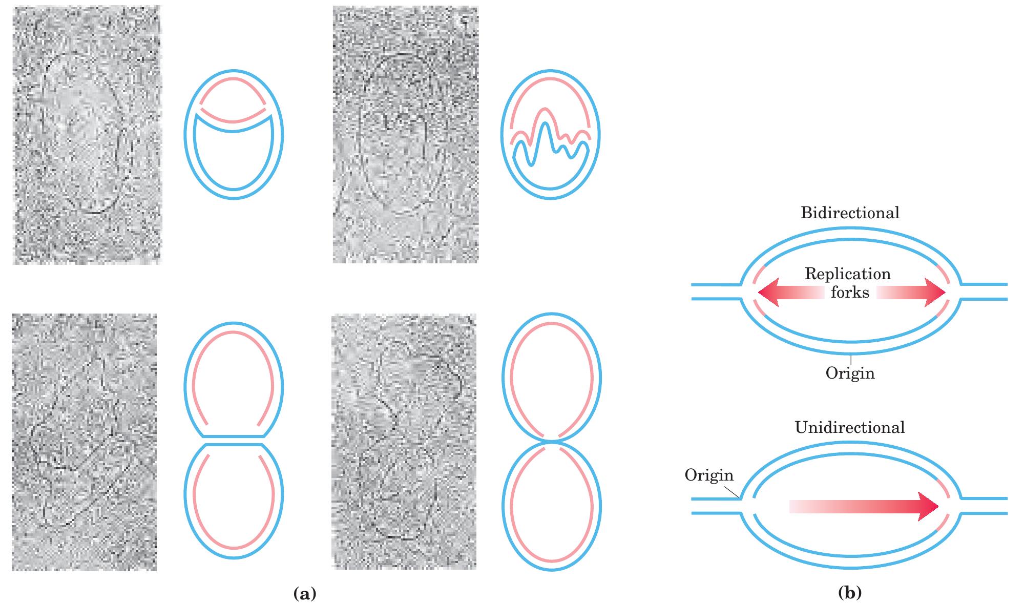 Figure 41 - from INFORMATION PATHWAYS