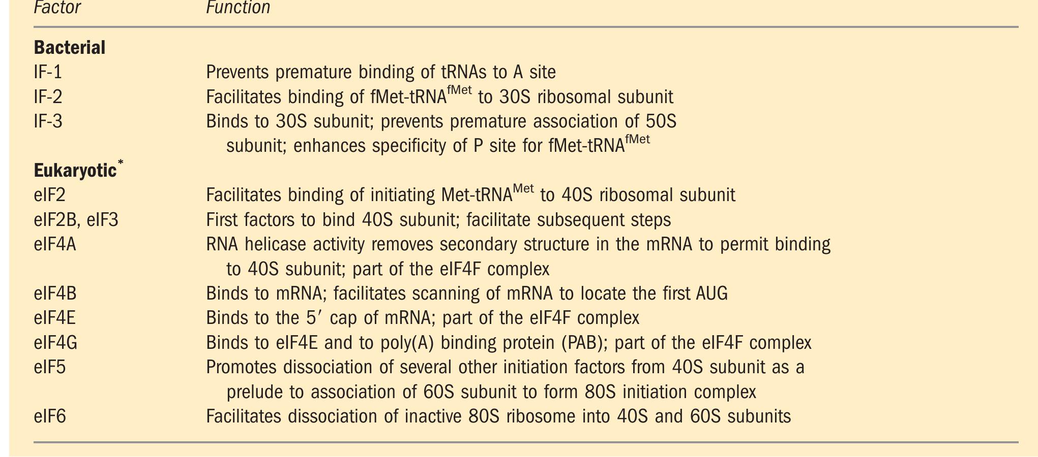 “the prefix “e” identifies these as eukaryotic factors.