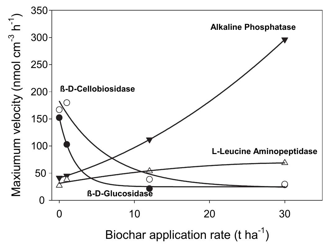 Figure 8 - Biochar effects on soil biota - A review