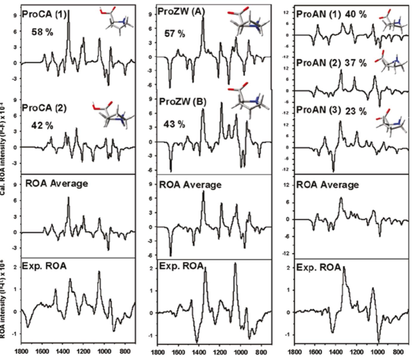 10 roa spectra of the two l-proline cation conformers