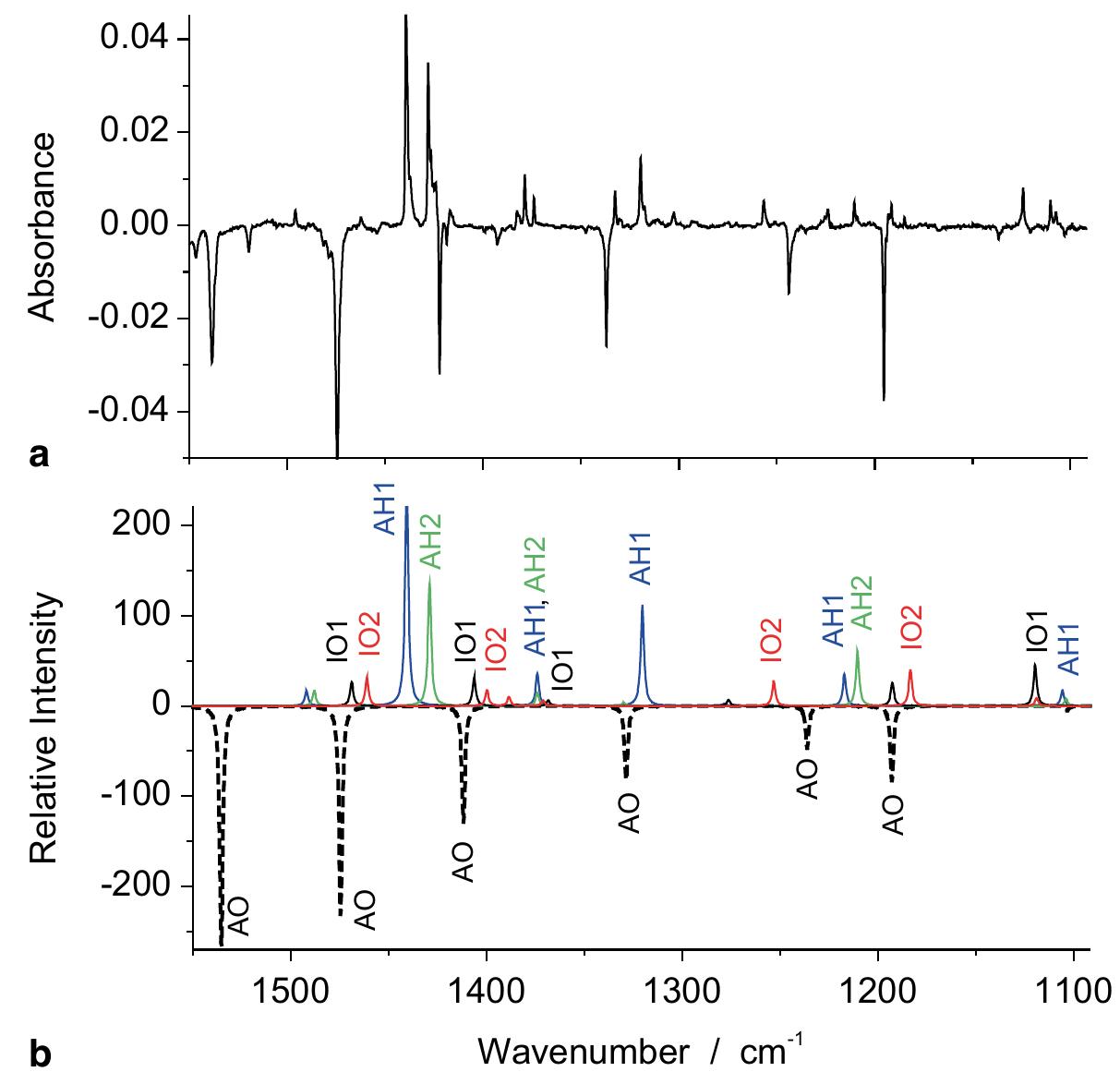 21 phototransformation of the ao tautomer of matrix-isolated