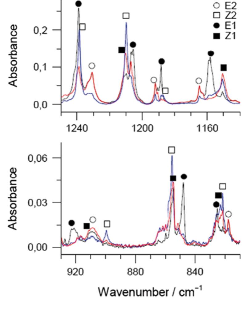 Spectral changes that indicated occurrence in the matrix of