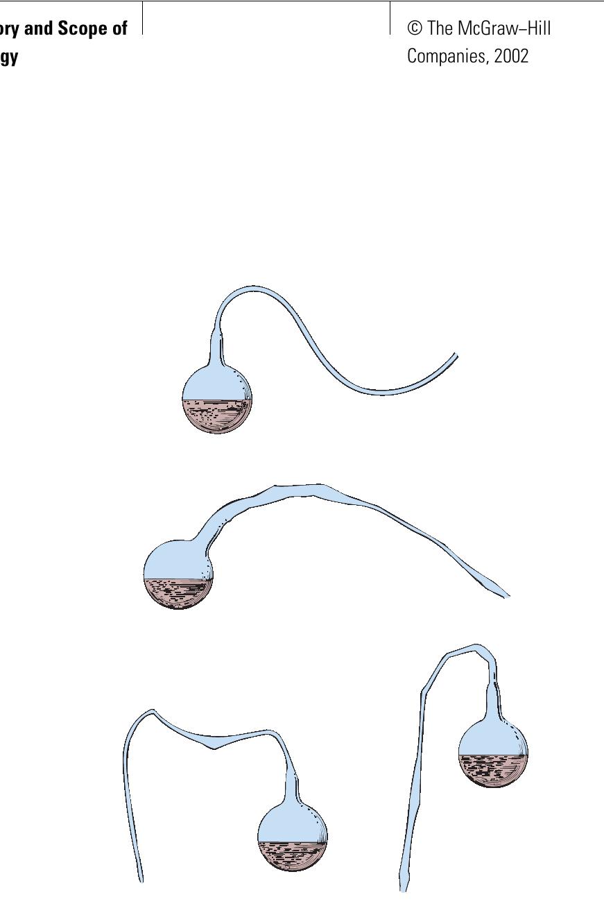 3 the spontaneous generation experiment. pasteur’s swan neck