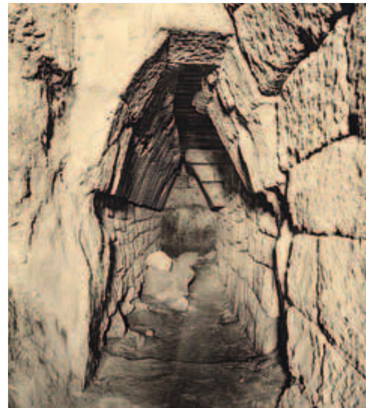 Figure 6 - The Etruscan Princess of the Regolini-Galassi