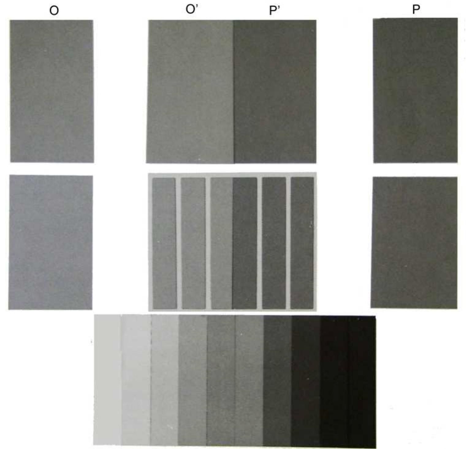 Figure 4 - Chevreul’s Colour Theory and its Consequences for