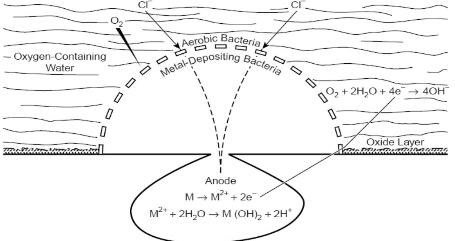 3- possible reactions under tubercles created by metal