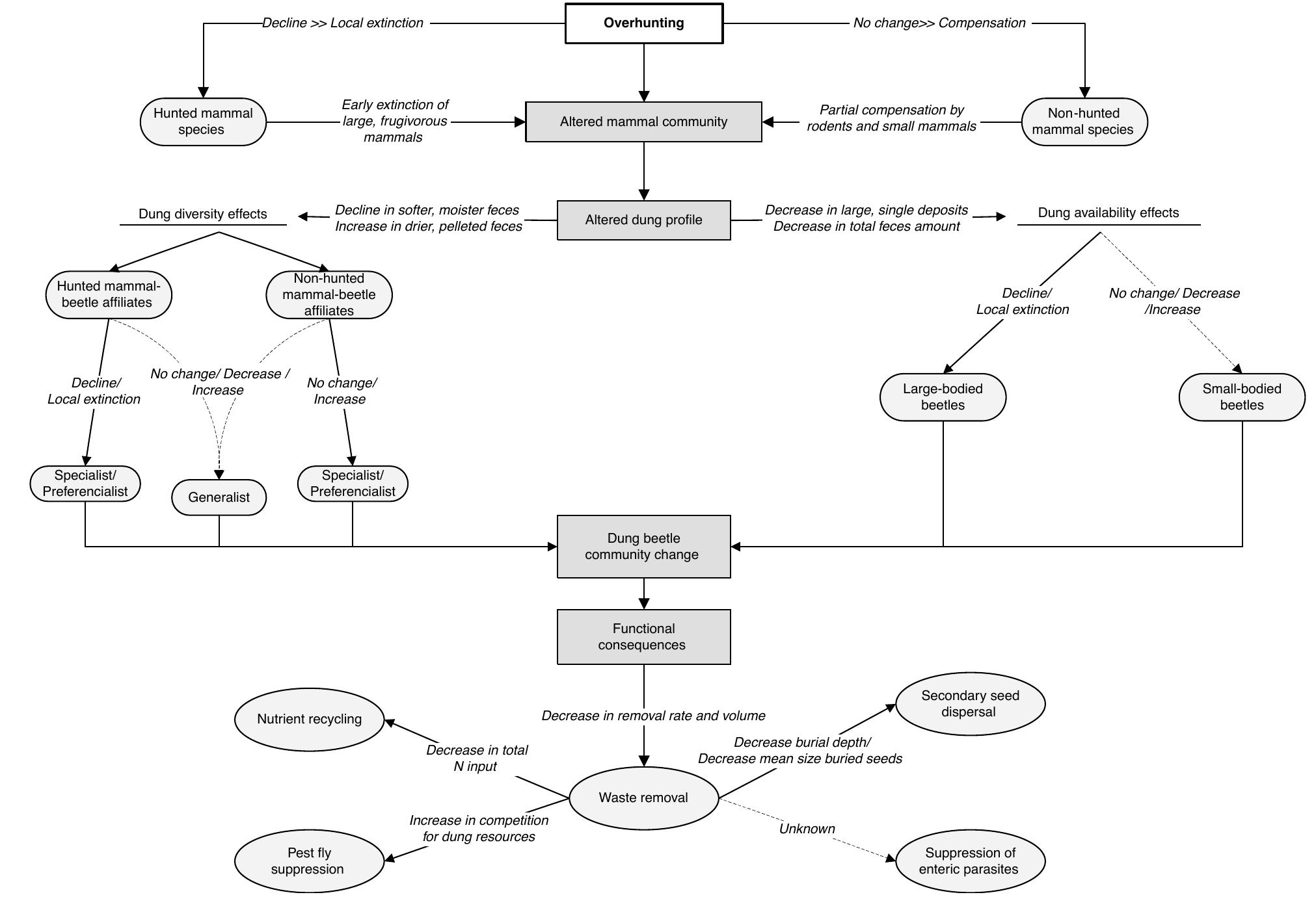 Conceptual model of pathways by which overhunting in