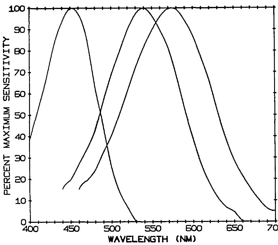 (PDF) Lightness and Retinex Theory