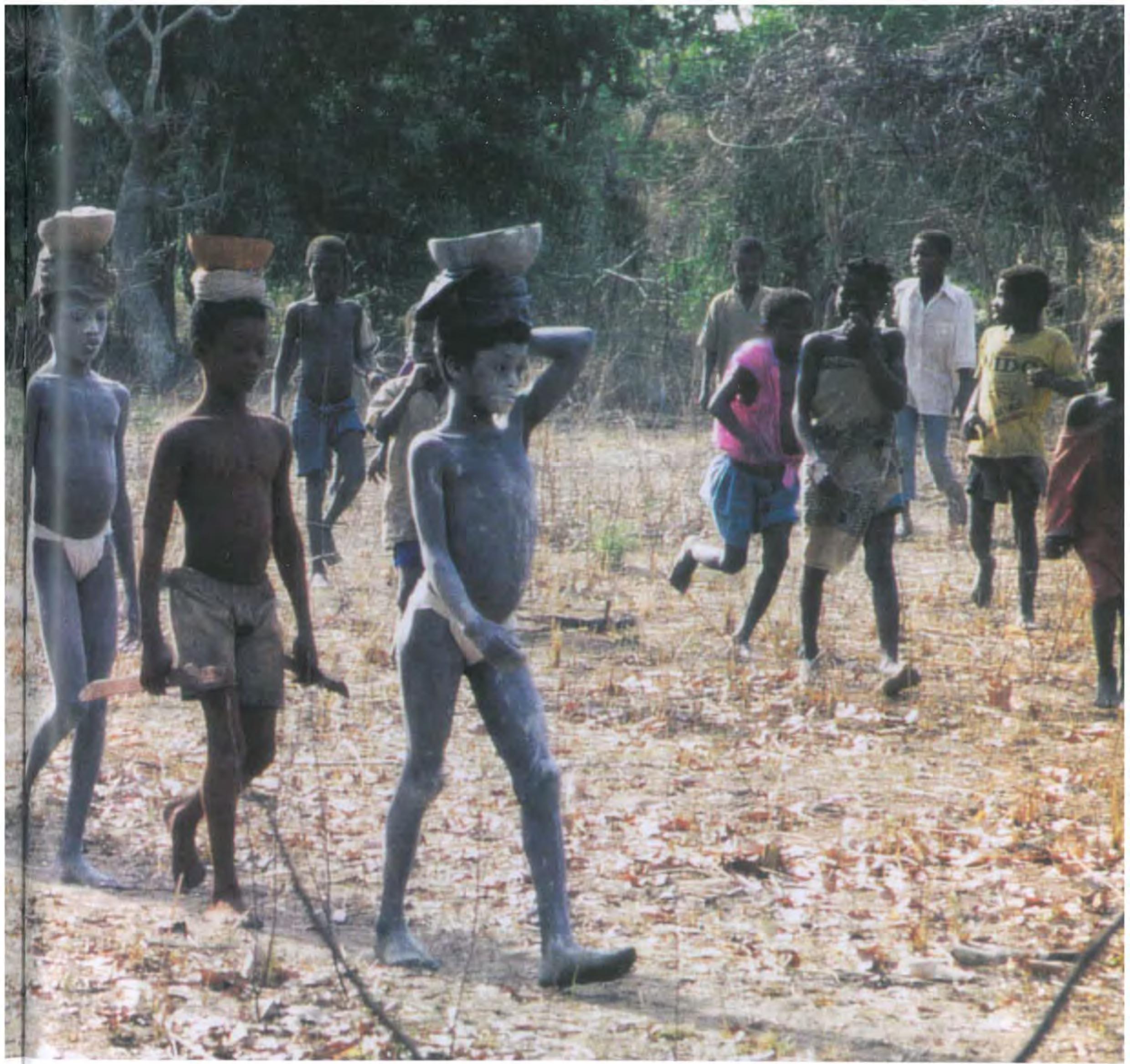 (PDF) On multiplicity and performance: The complexities of Bedu mask ...