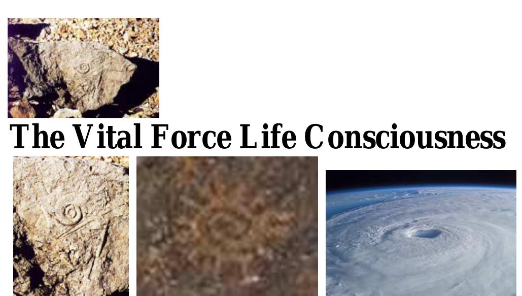 The human species is at its peak with mental evolution. the