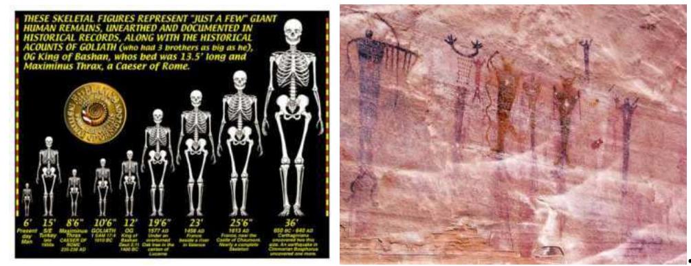 -2 the human skeleton in museum and rock lhe creation has