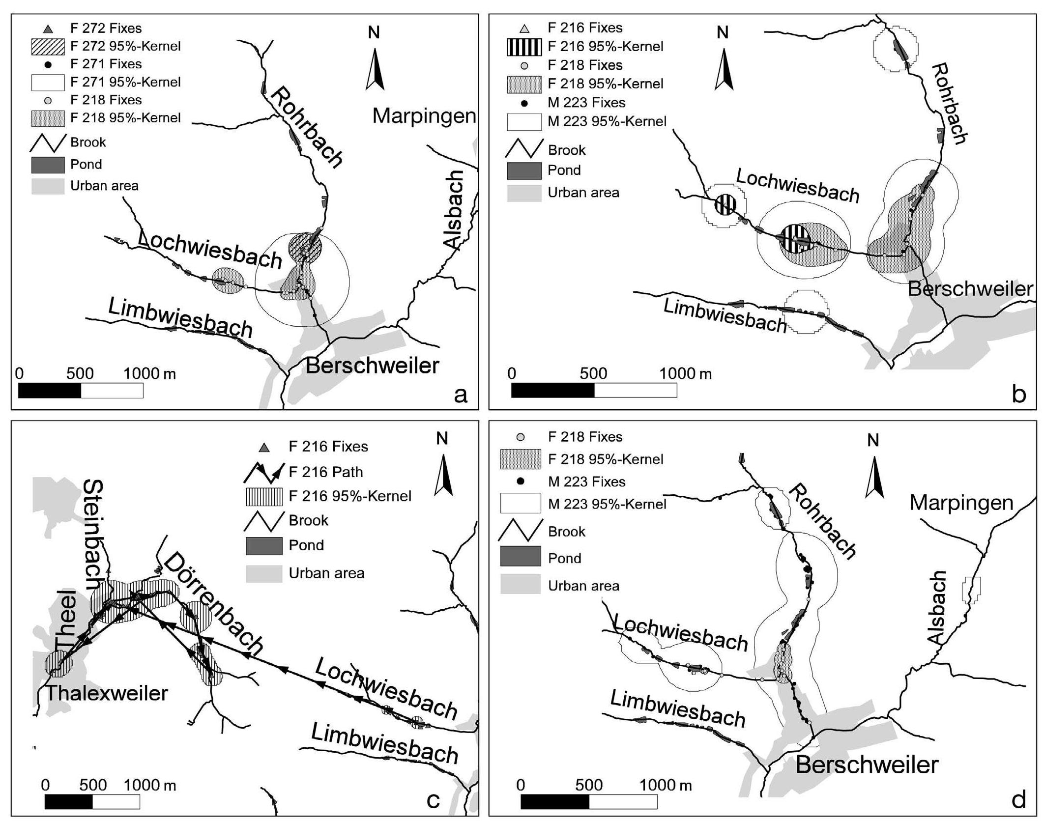 Mustela lutreola. home range overlaps of (a) 3 adult females