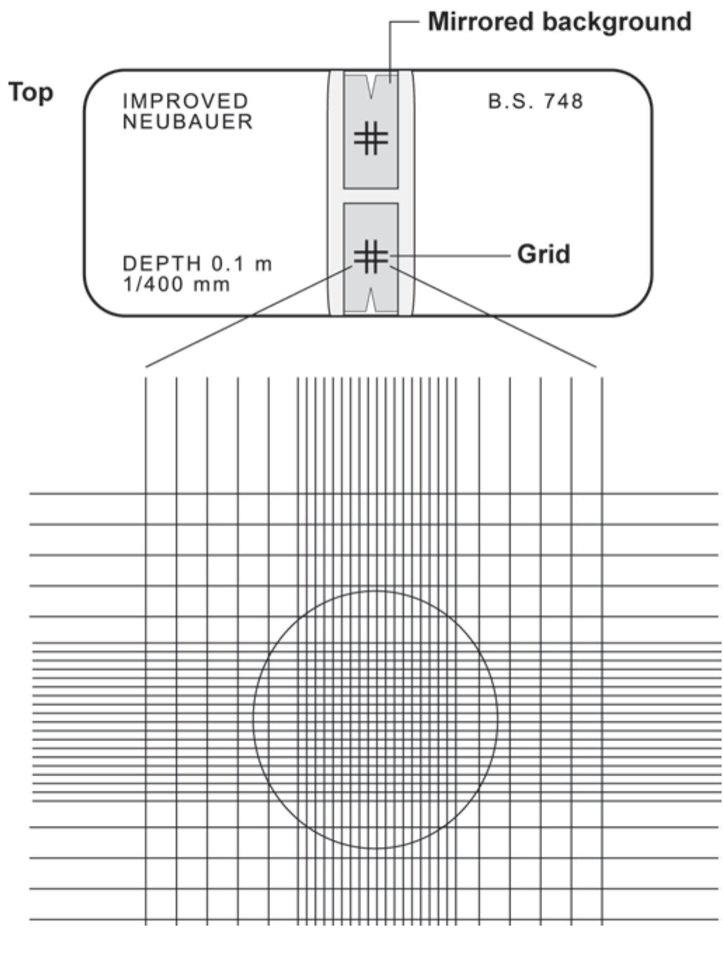 Figure 16 - CELL CULTURE BASICS Handbook Cell Culture Basics