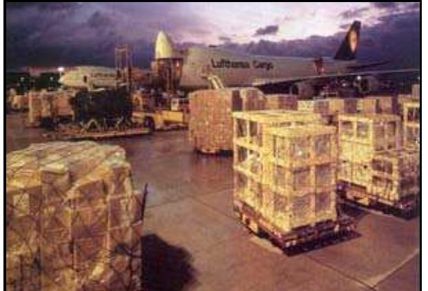 Figure 2 - Multimodal Transport Operations Introduction