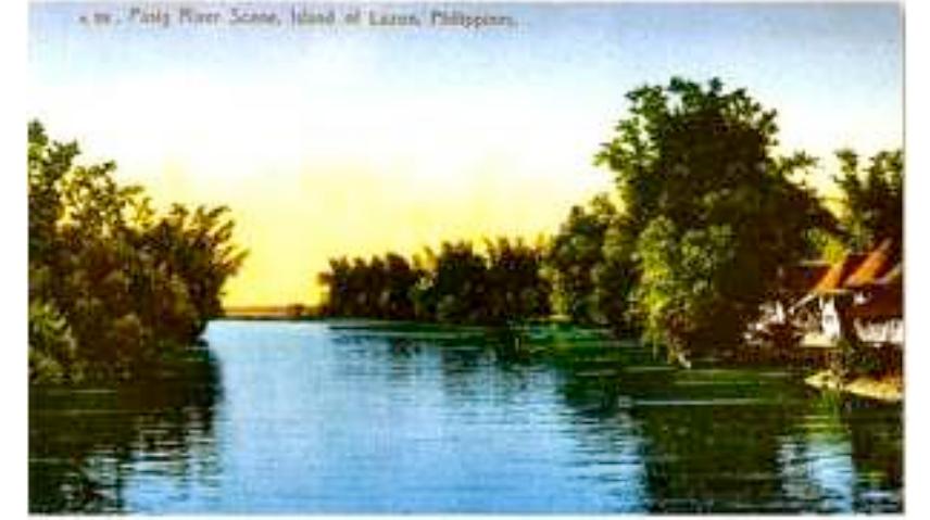 (PDF) Revitalization of the Pasig River Through the Years: Bringing a ...