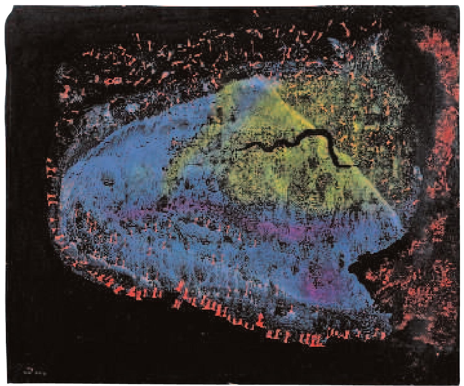 Figure 7 - Yayoi Kusama Mirrored Years