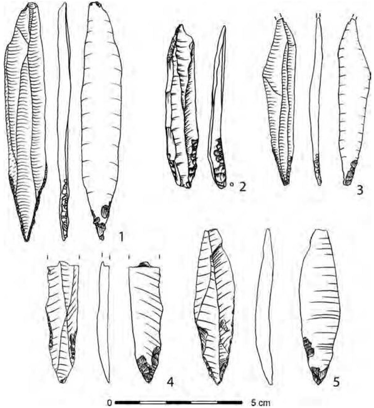 Artefacts made of chocolate flints — tanged points (1, 3-5,