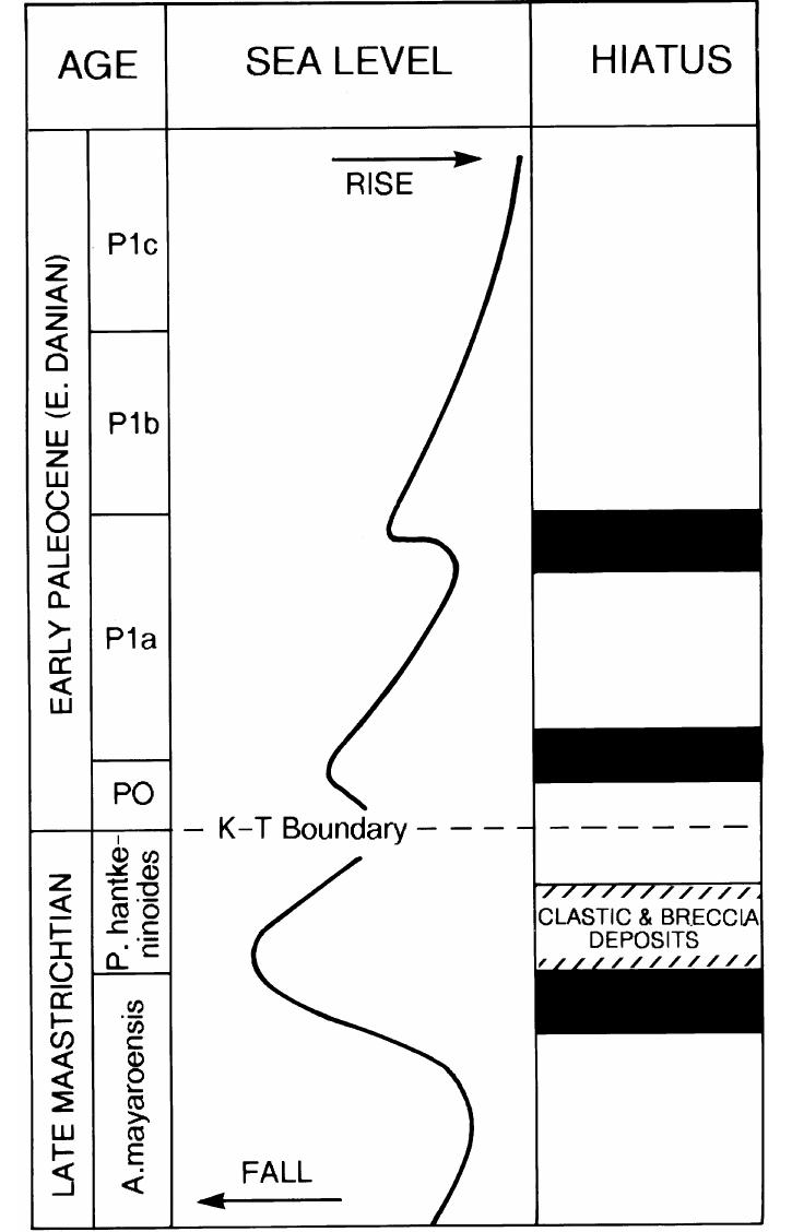 Eustatic sea-level changes across the k-t boundary,