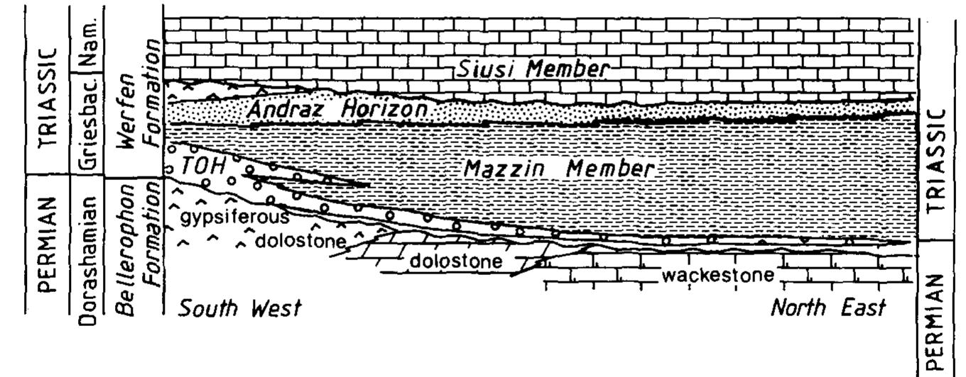 Simplified Cross Section Through The Latest Permian And